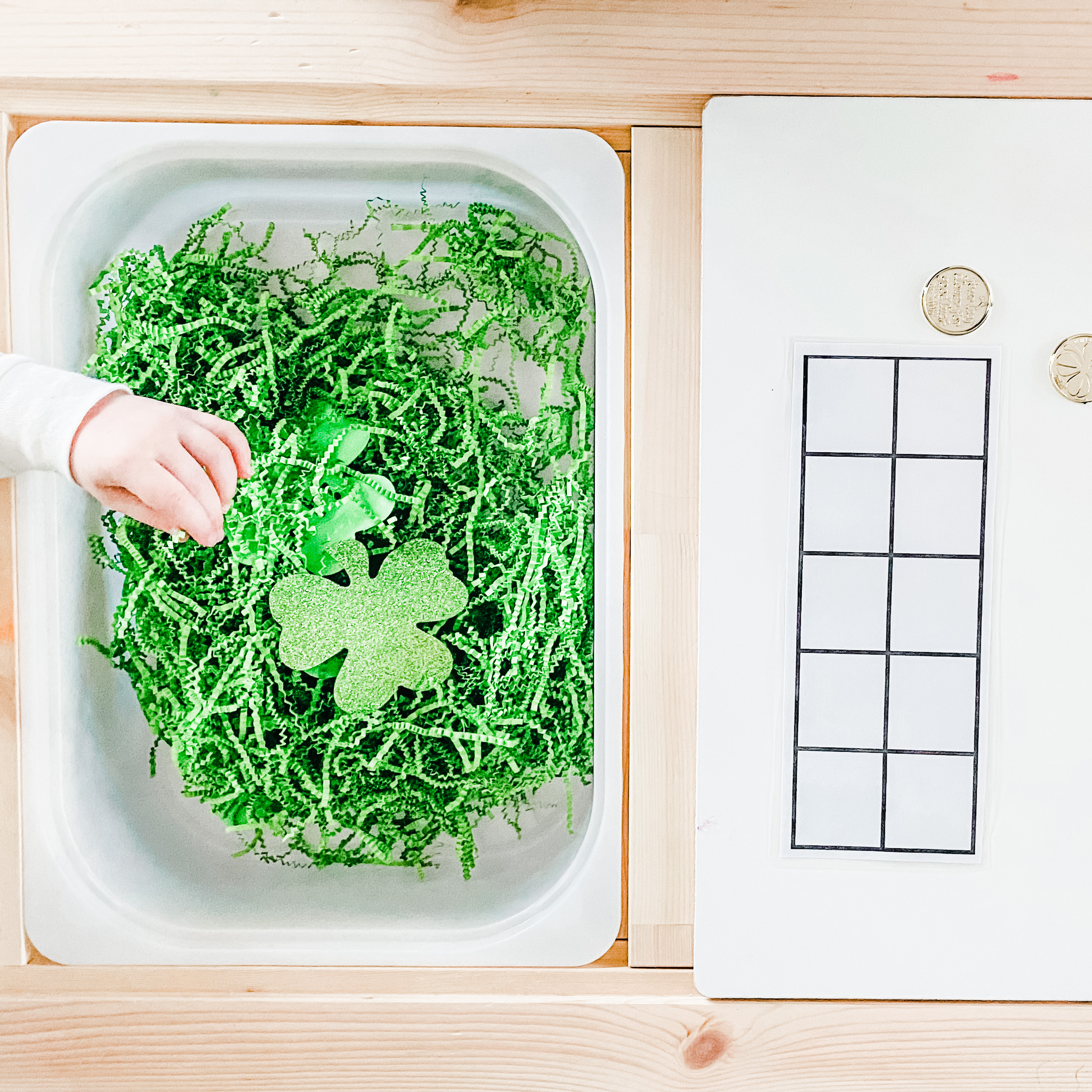 Let’s Celebrate! It’s St. Patrick’s Day | SCHOOL OF SMART COOKIES